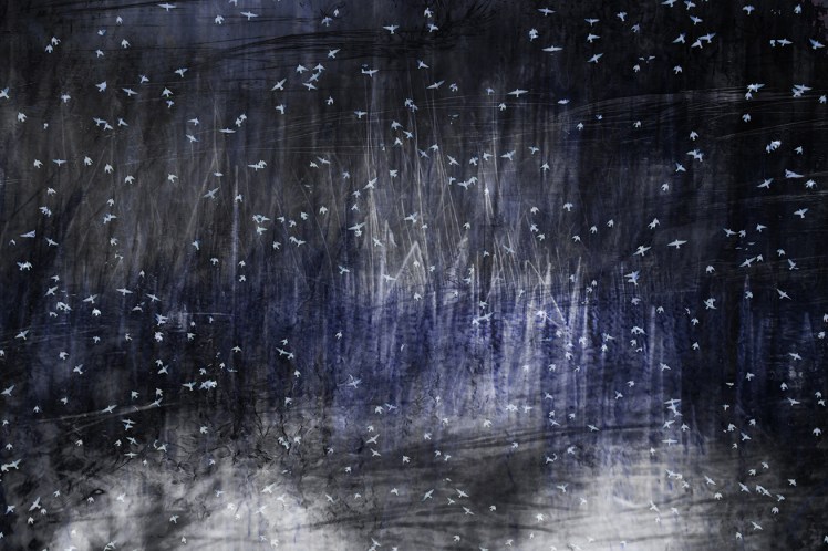 Murmuration – Jo Stephen Photography