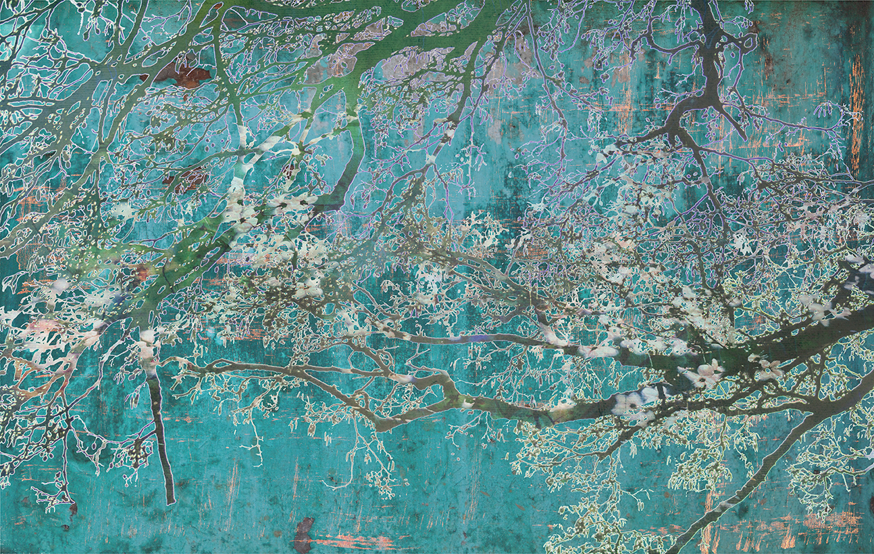 Sakura – Jo Stephen Photography