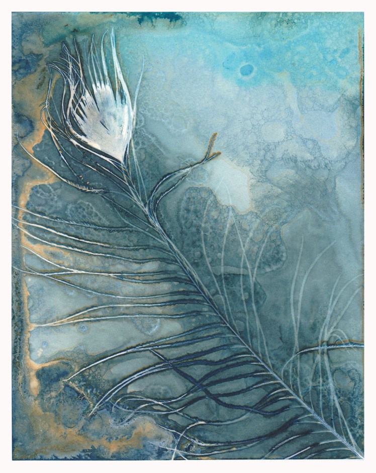 Creating Cyanotypes – A Simple Guide – Jo Stephen Photography