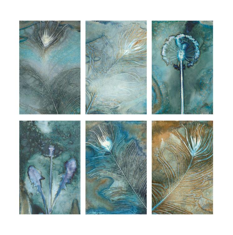 Creating Cyanotypes – A Simple Guide – Jo Stephen Photography