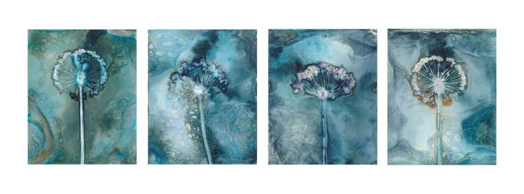 Creating Cyanotypes – A Simple Guide – Jo Stephen Photography