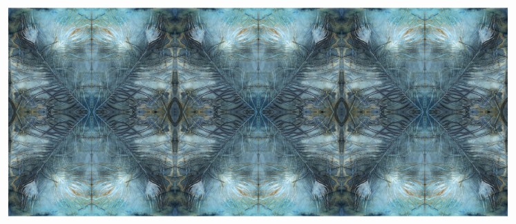 Creating Cyanotypes – A Simple Guide – Jo Stephen Photography