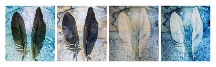 Creating Cyanotypes – A Simple Guide – Jo Stephen Photography