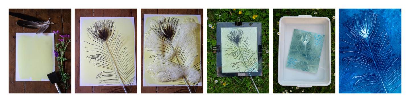 Creating Cyanotypes – A Simple Guide – Jo Stephen Photography