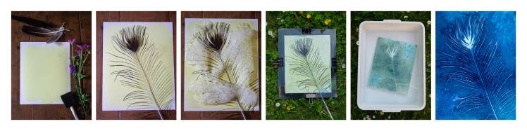 Creating Cyanotypes – A Simple Guide – Jo Stephen Photography