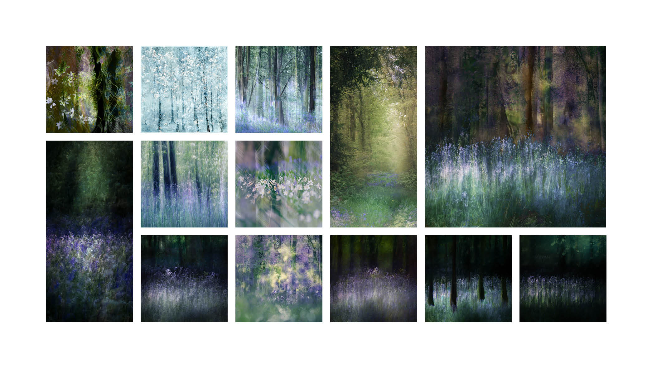 Bluebell Woods – Jo Stephen Photography