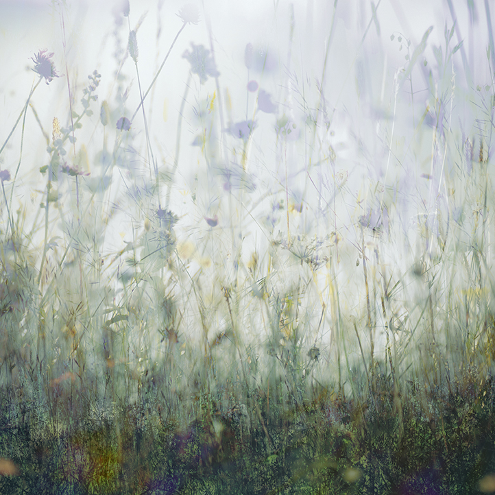 Jo Stephen Photography