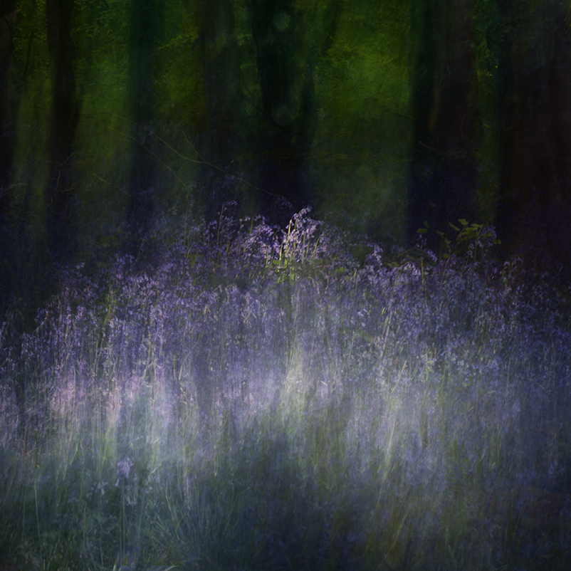 Jo Stephen Photography