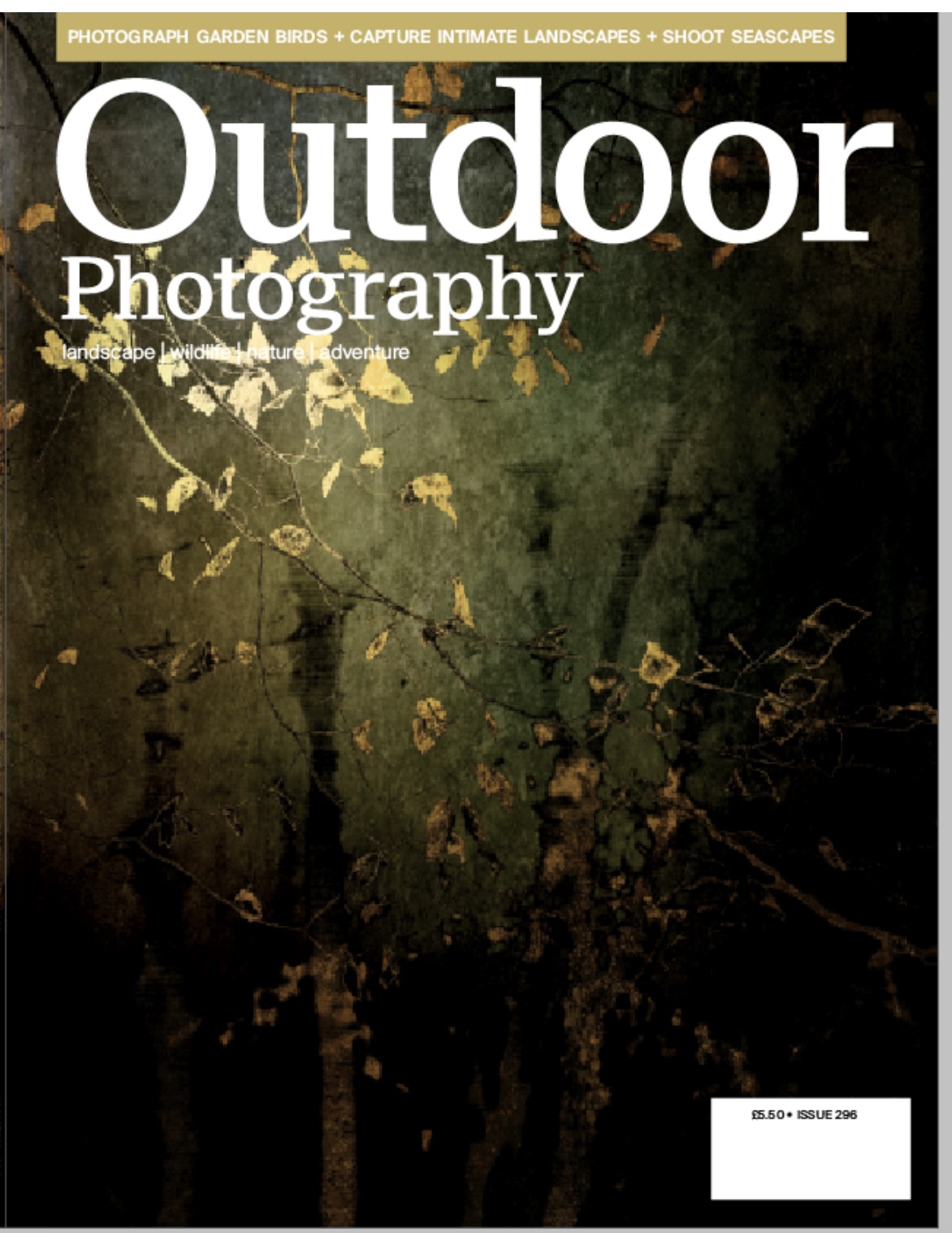 Editorial – Jo Stephen Photography