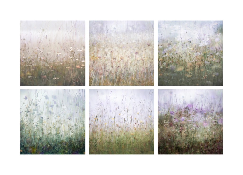 Awards & Exhibitions – Jo Stephen Photography