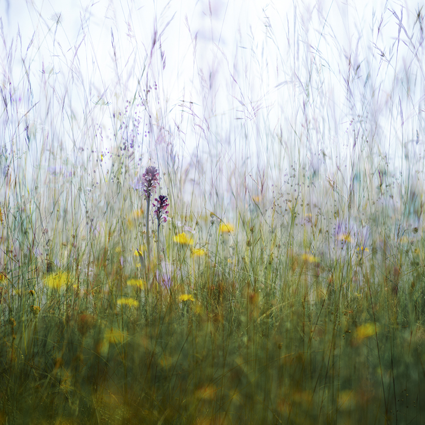 Jo Stephen Photography