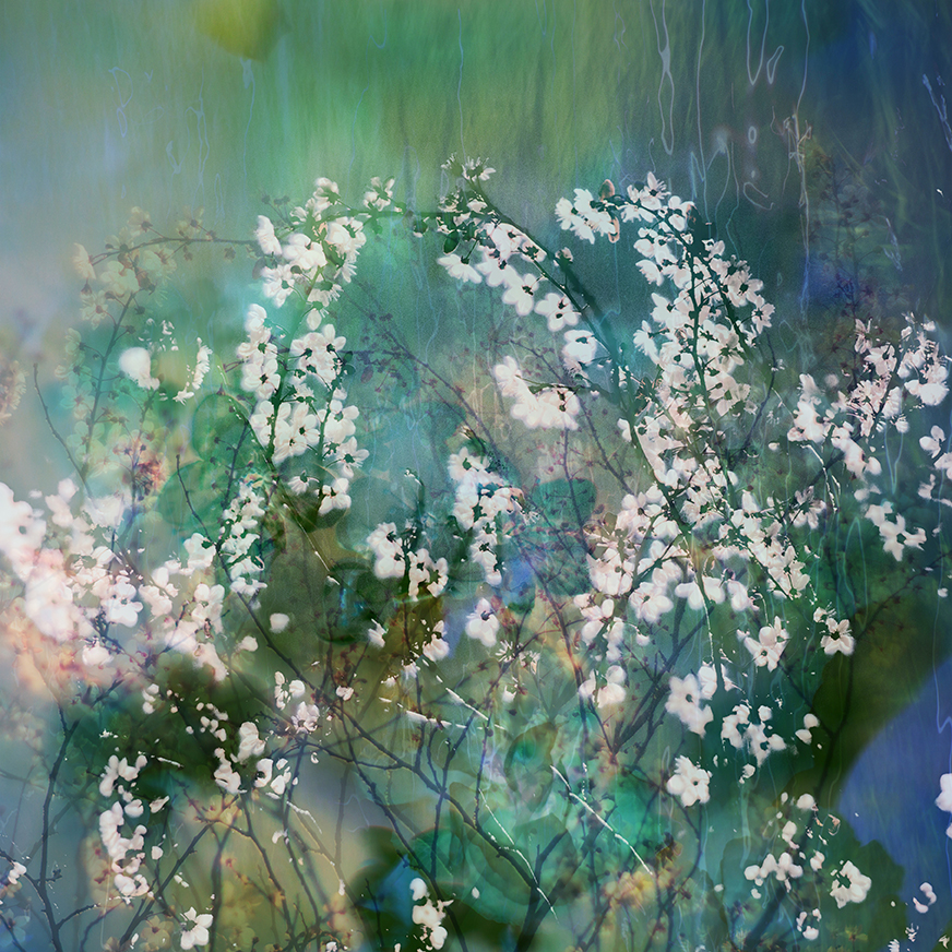 Jo Stephen Photography