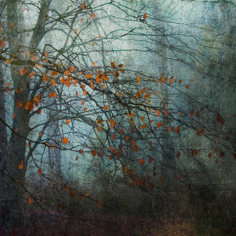 Jo Stephen Photography