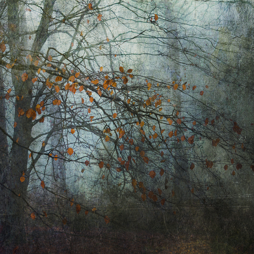 Jo Stephen Photography