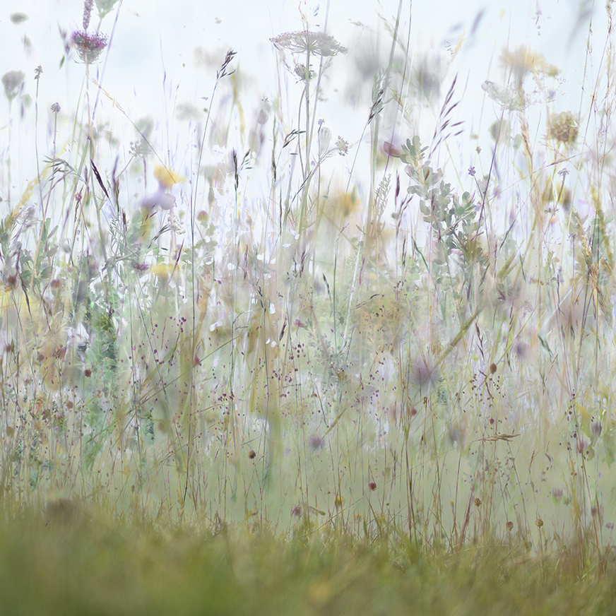 Jo Stephen Photography