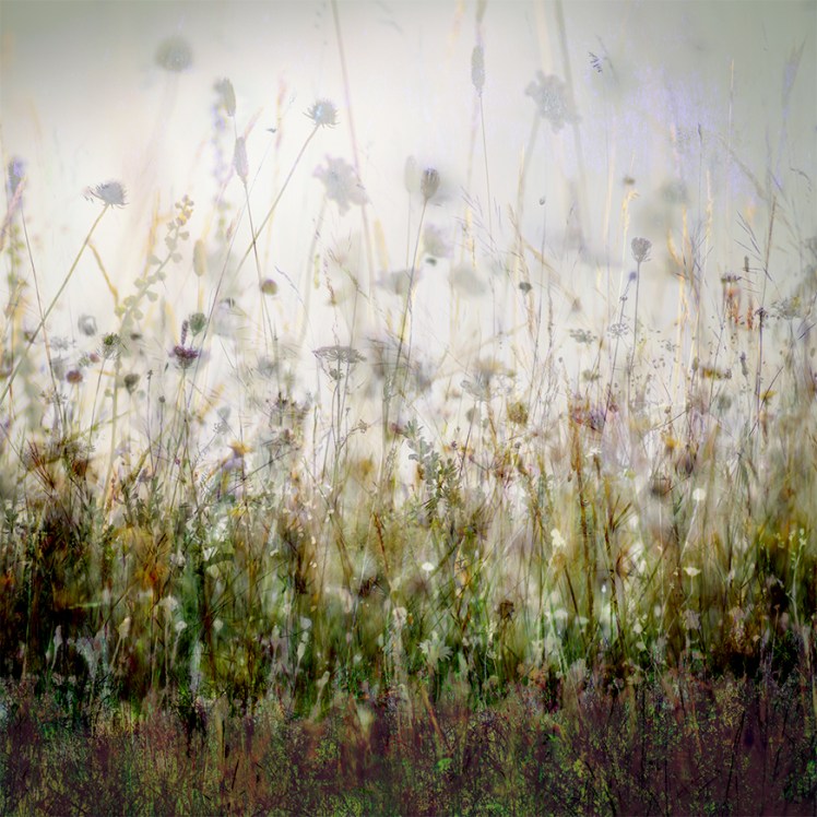 Ethereal nature photography – Jo Stephen Photography