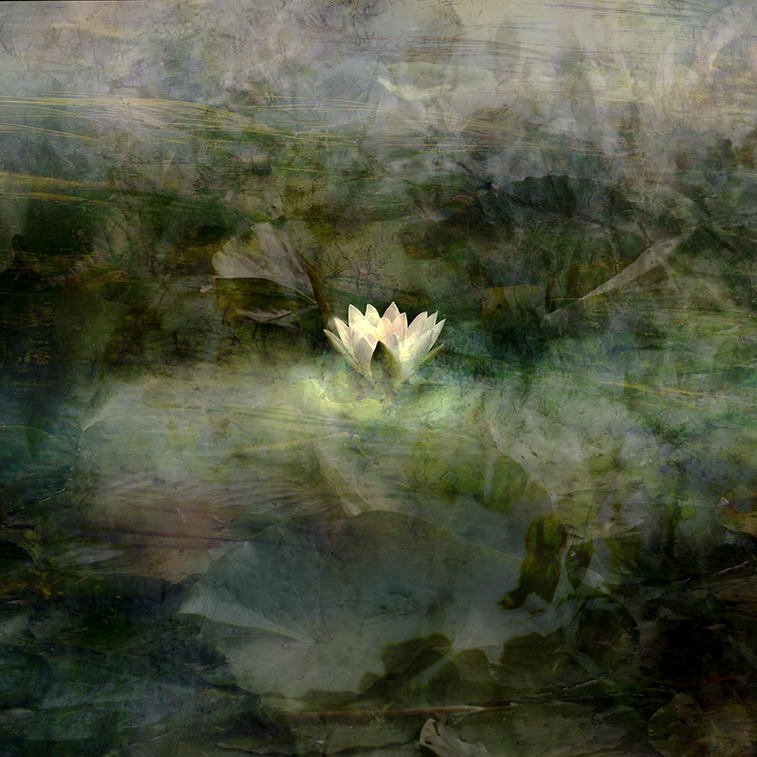 Jo Stephen Photography