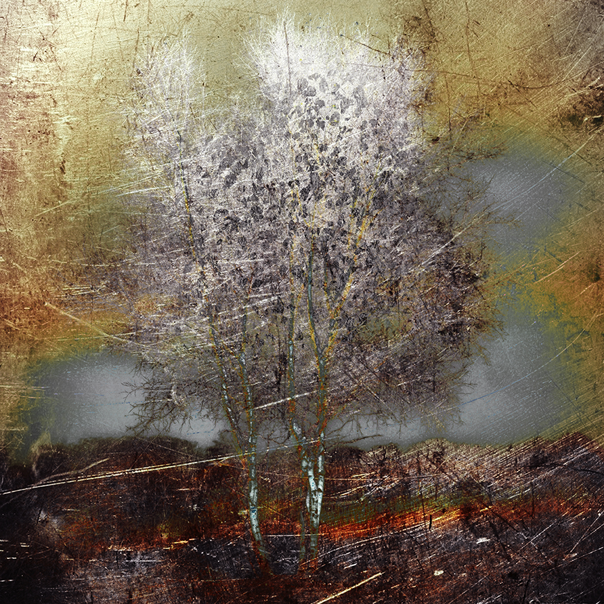 Jo Stephen Photography