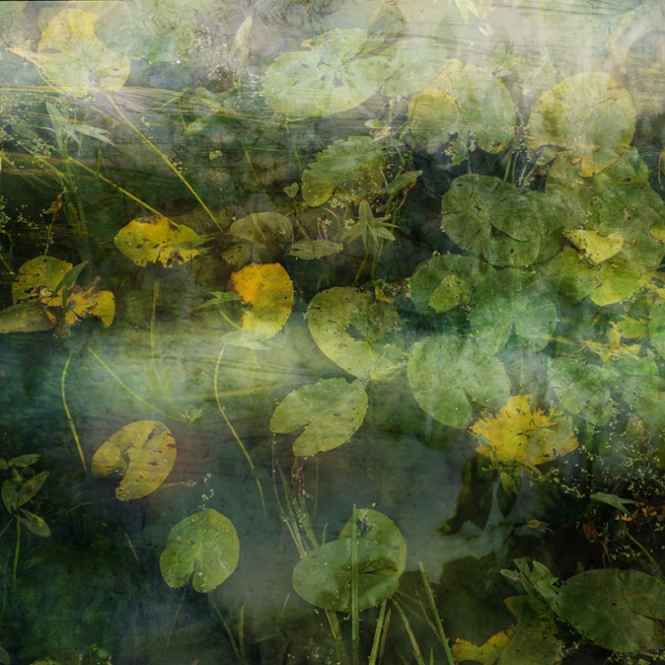 Nyads – Jo Stephen Photography