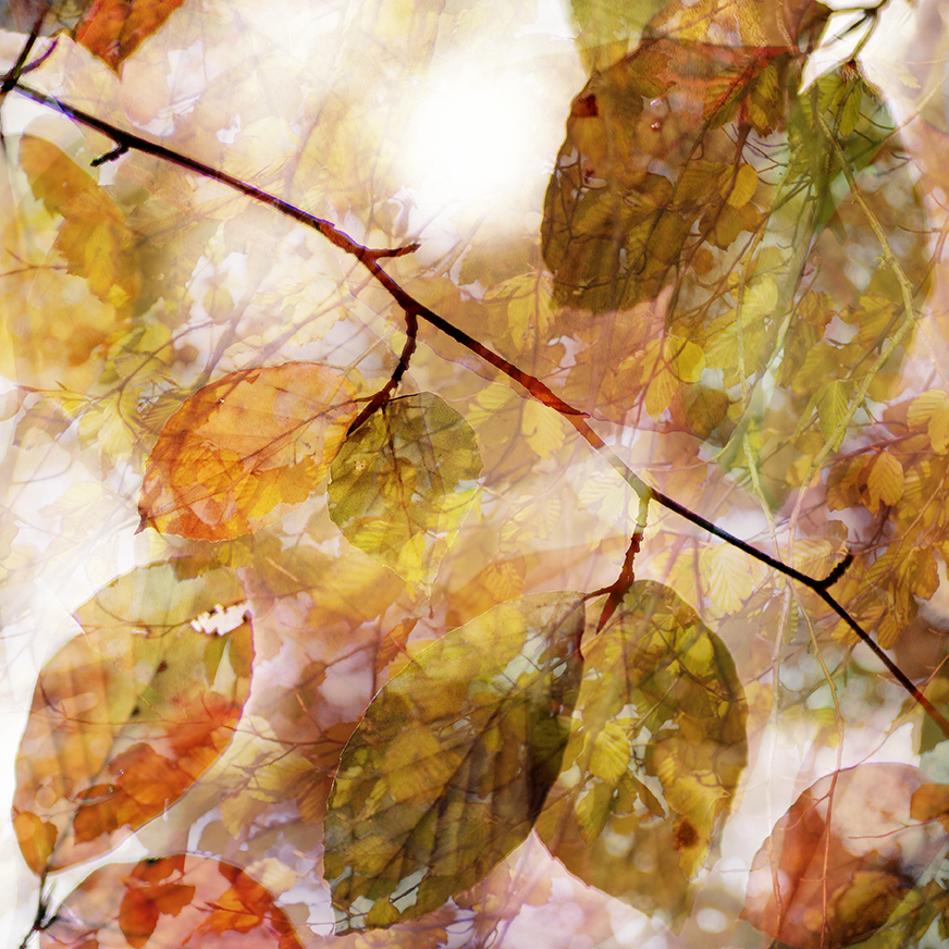 Jo Stephen Photography