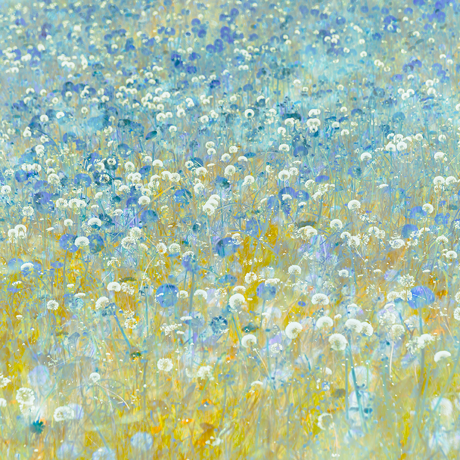 Jo Stephen Photography