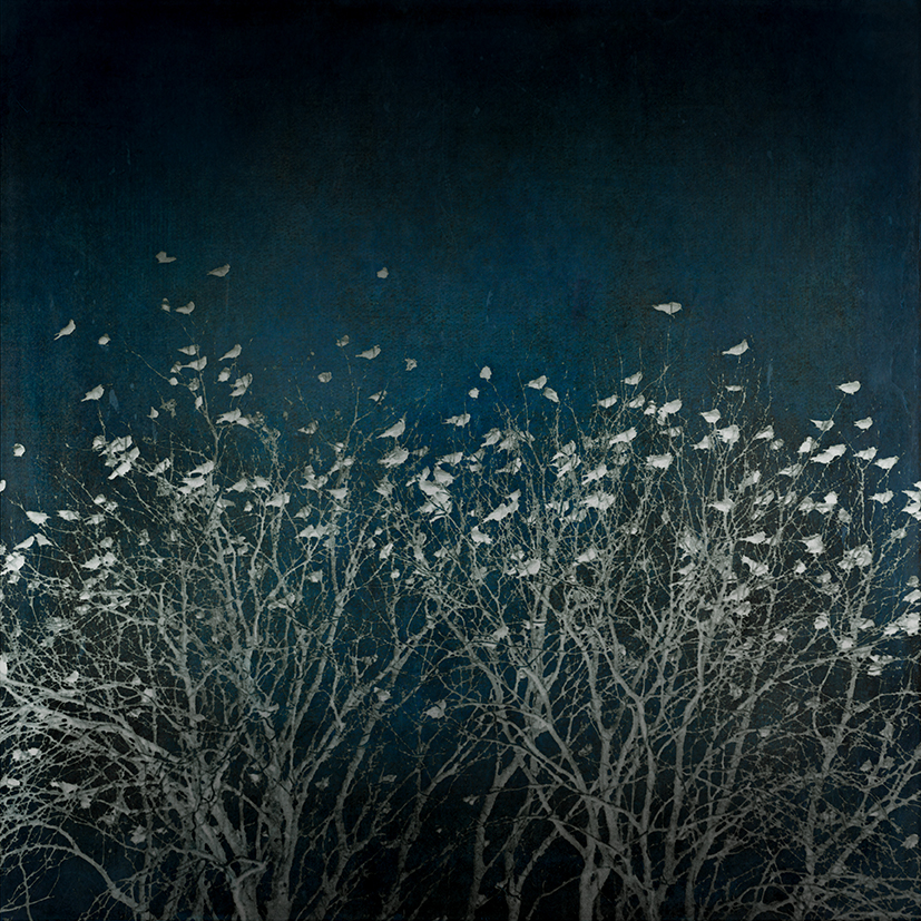 Jo Stephen Photography