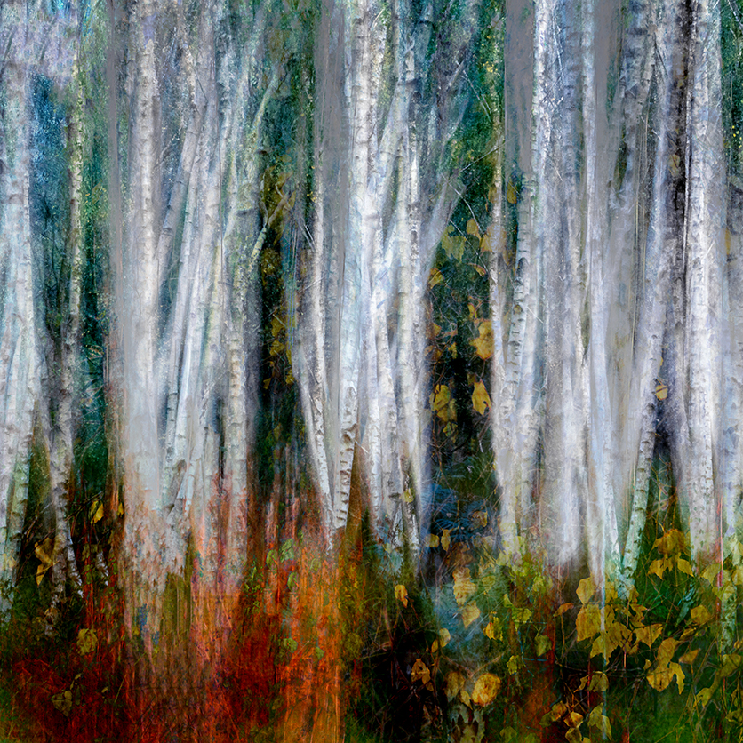 Jo Stephen Photography