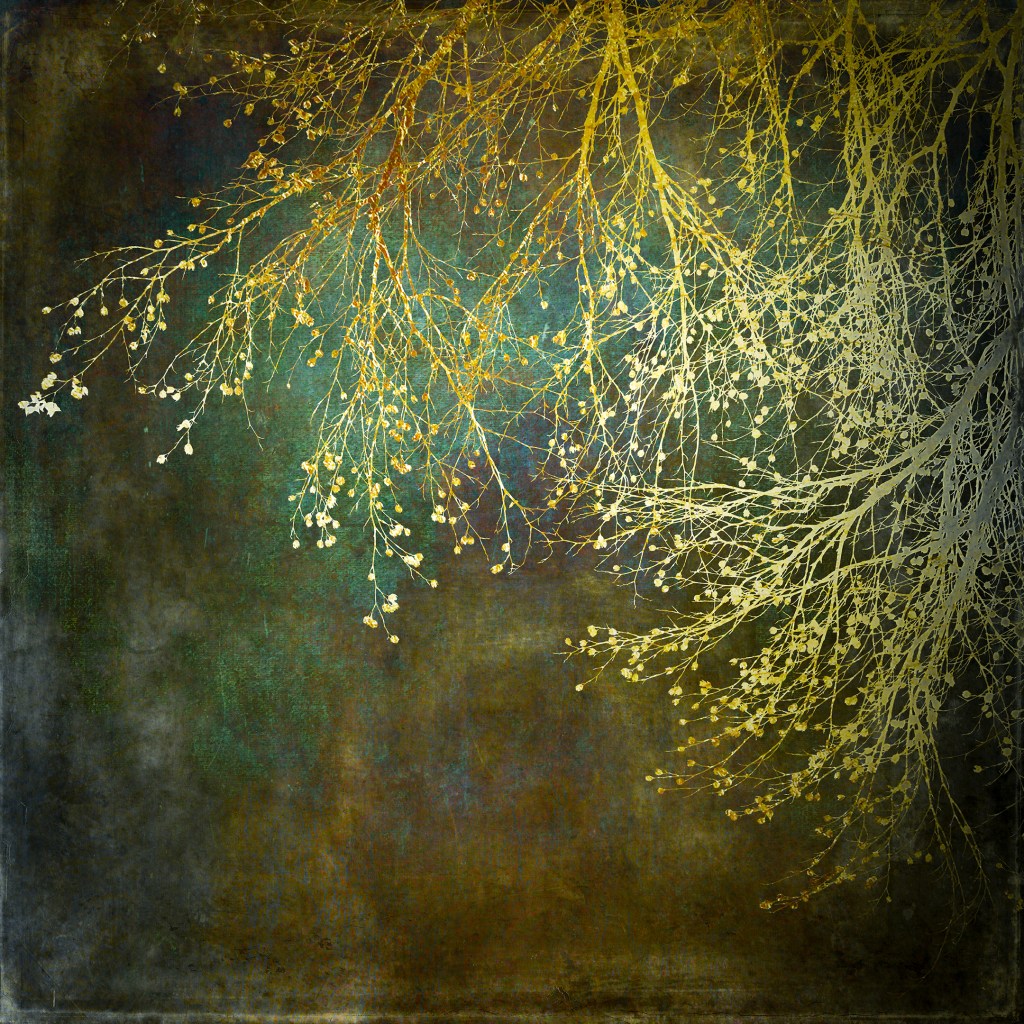 Jo Stephen Photography