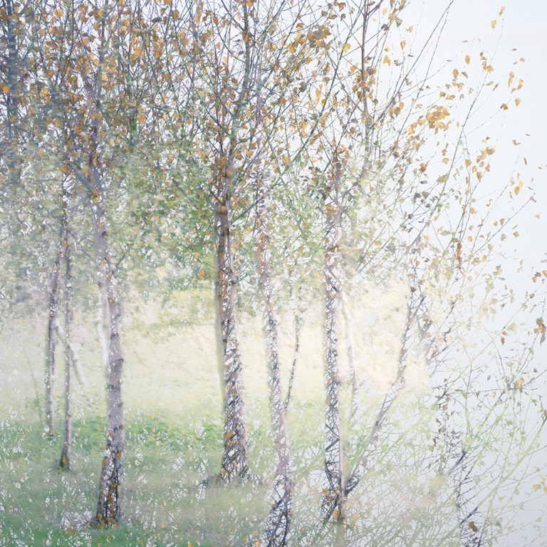 Autumn – Jo Stephen Photography
