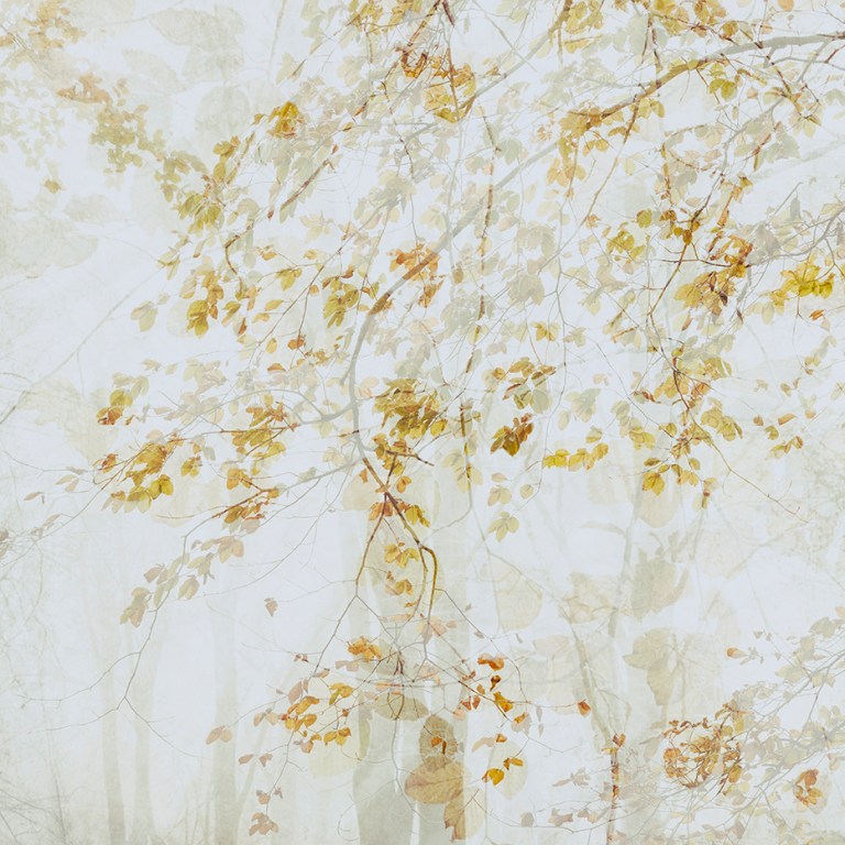Autumn – Jo Stephen Photography