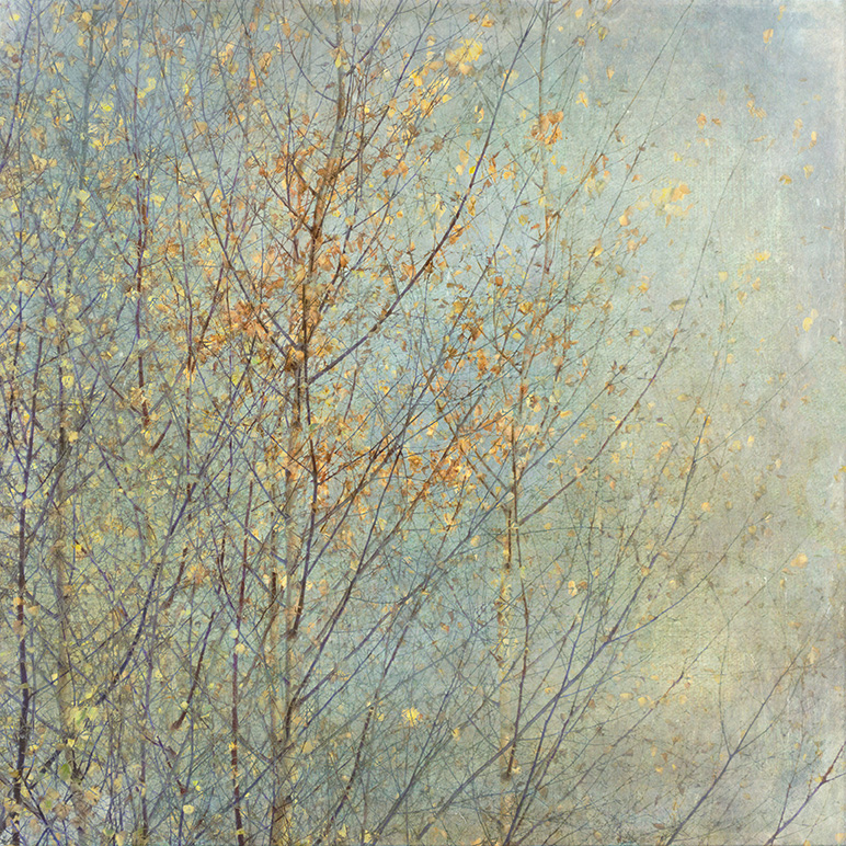 Autumn – Jo Stephen Photography