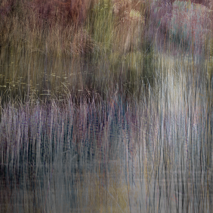 Chalk Stream – Jo Stephen Photography