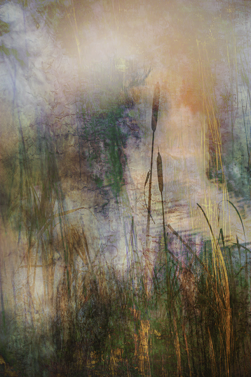 Chalk Stream – Jo Stephen Photography