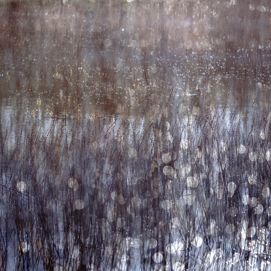 Chalk Stream – Jo Stephen Photography