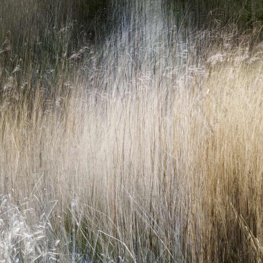 Chalk Stream – Jo Stephen Photography